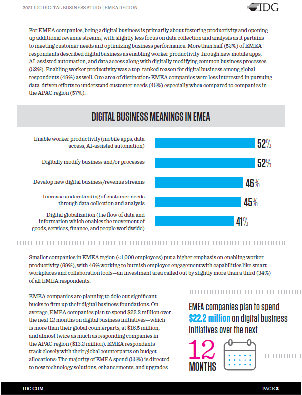 2021 Digital Business Executive Summary - EMEA Region